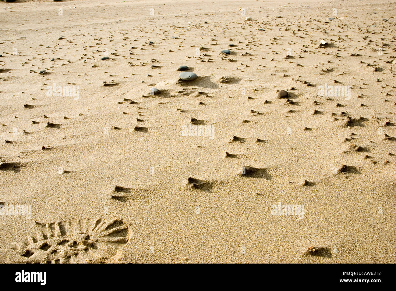 Loose sand hi-res stock photography and images - Alamy