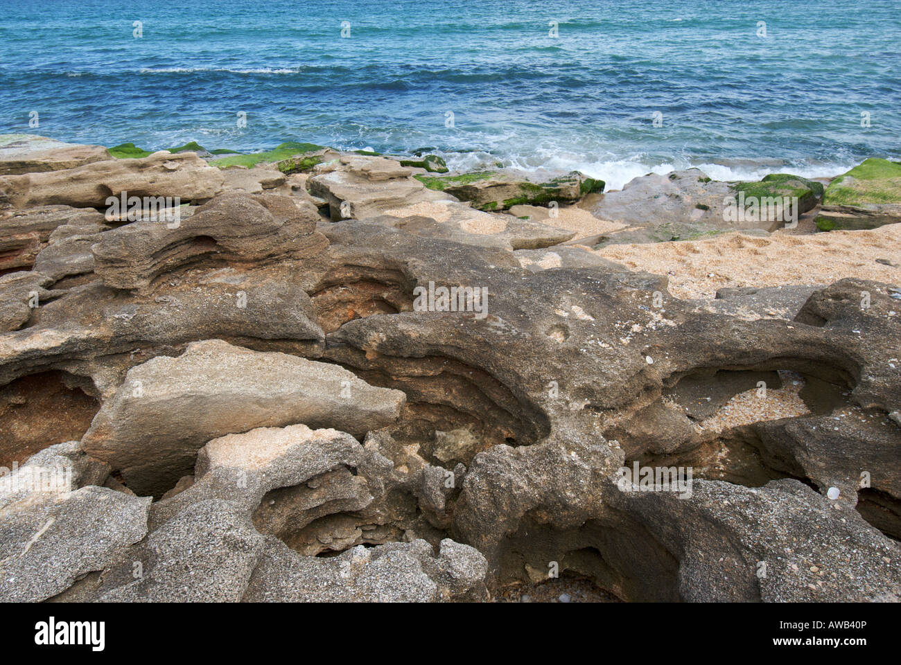 Coquina hi-res stock photography and images - Alamy