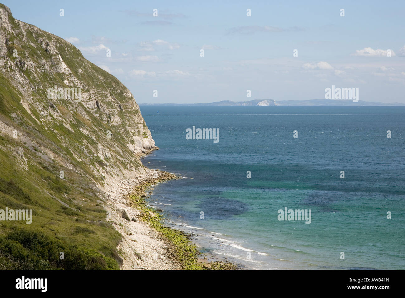 The chalk escarpment of Ballard Down plunges into the English Channel ...