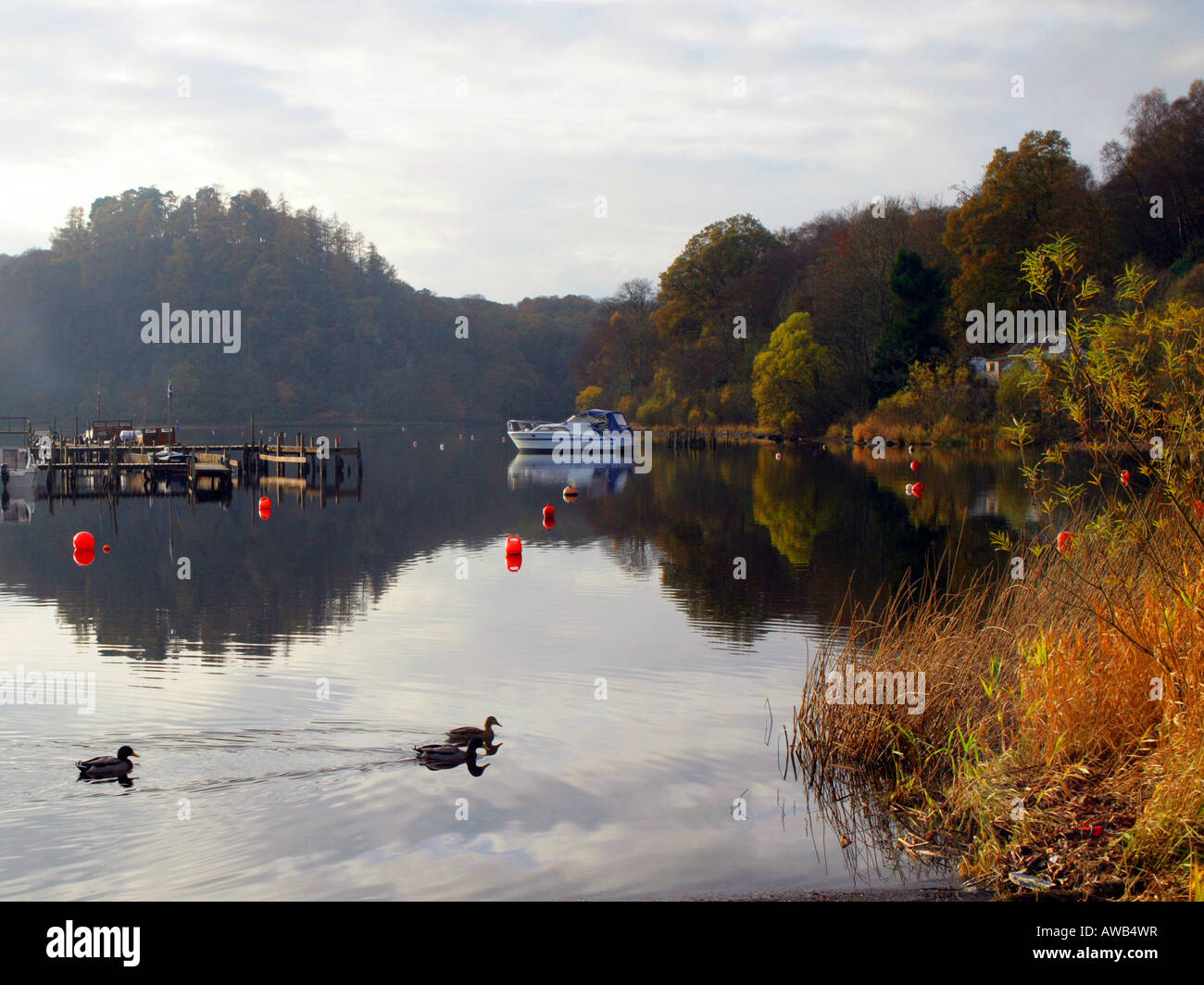THE BONNY BONNY BANKS OF LOCH LOMOND. BALMAHA JETTY ON THE EAST SIDE OF ...