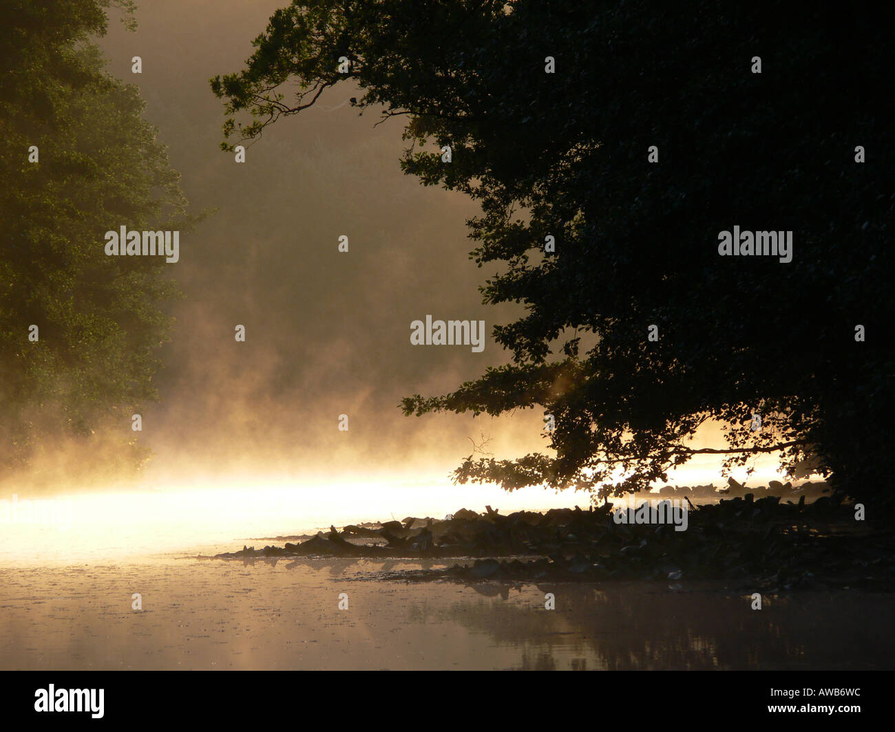 Adlestrop lake at dawn summer 2006 Stock Photo - Alamy