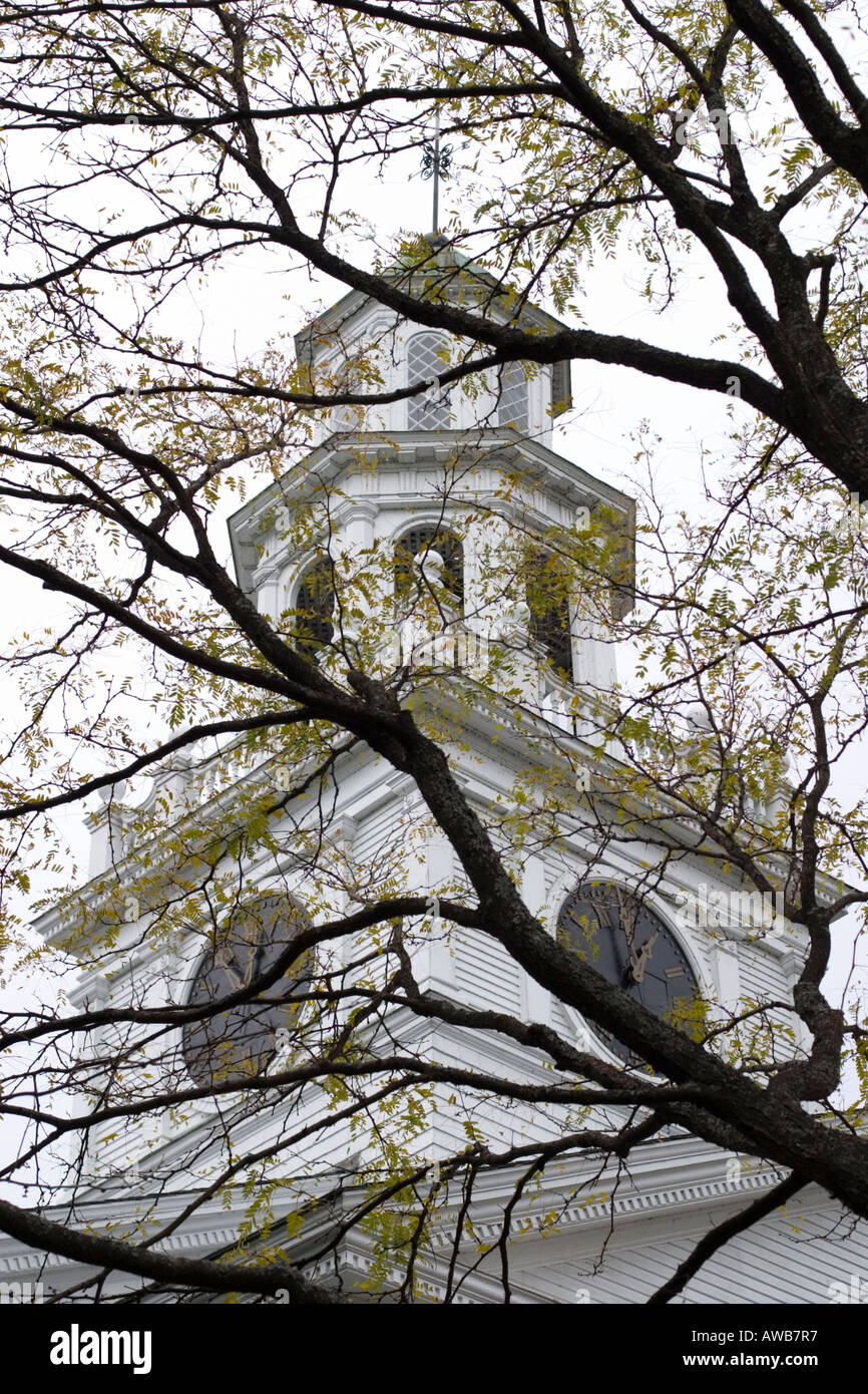 white church behind tree branches Stock Photo - Alamy