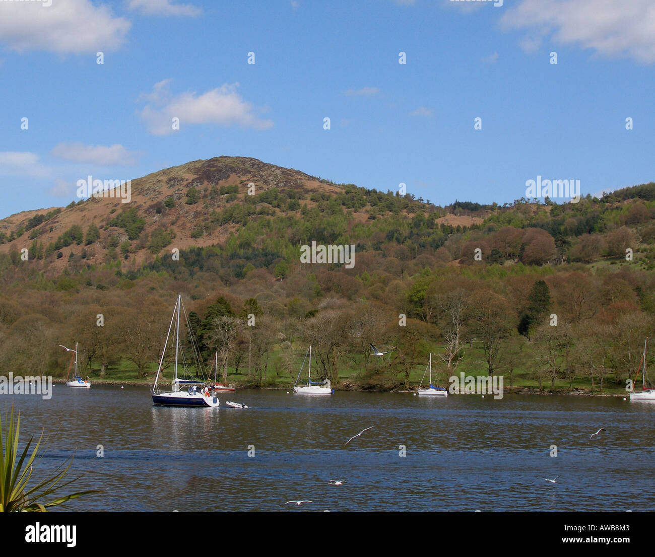 Lake Windermere viewed from Lakeside, Cumbria, England, UK, United ...