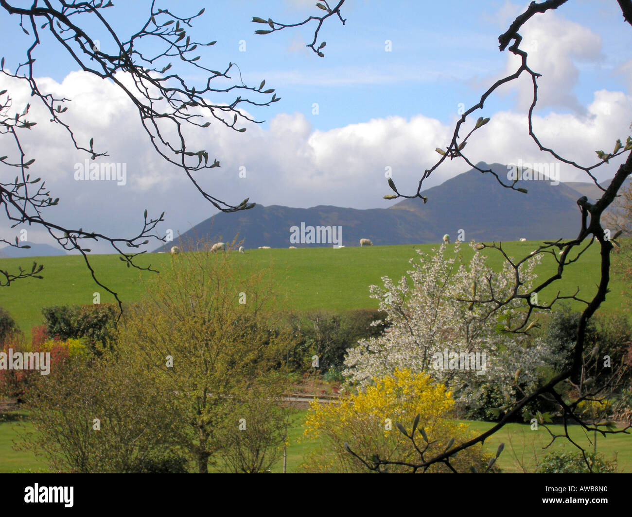The View over Crow Park, Keswick, Cumbria, England, UK, United Kingdom ...