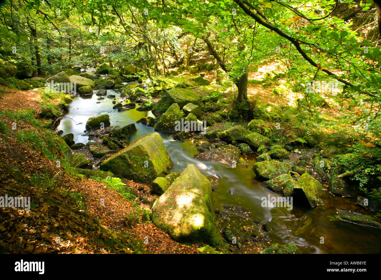 View of Burbage Brook in Woodland at Padley Gorge in the Peak District ...
