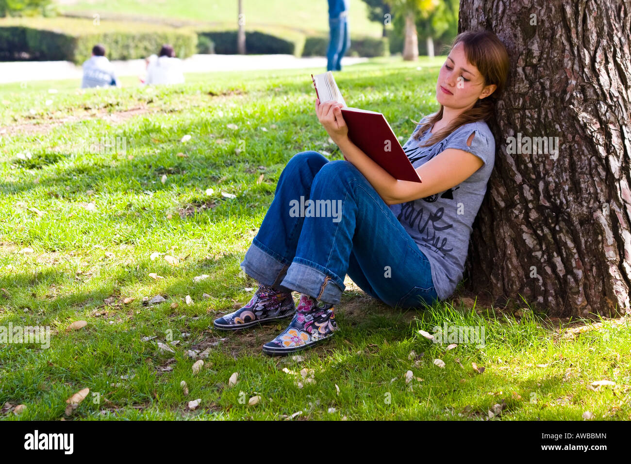 Young woman enjoying a book Stock Photo - Alamy