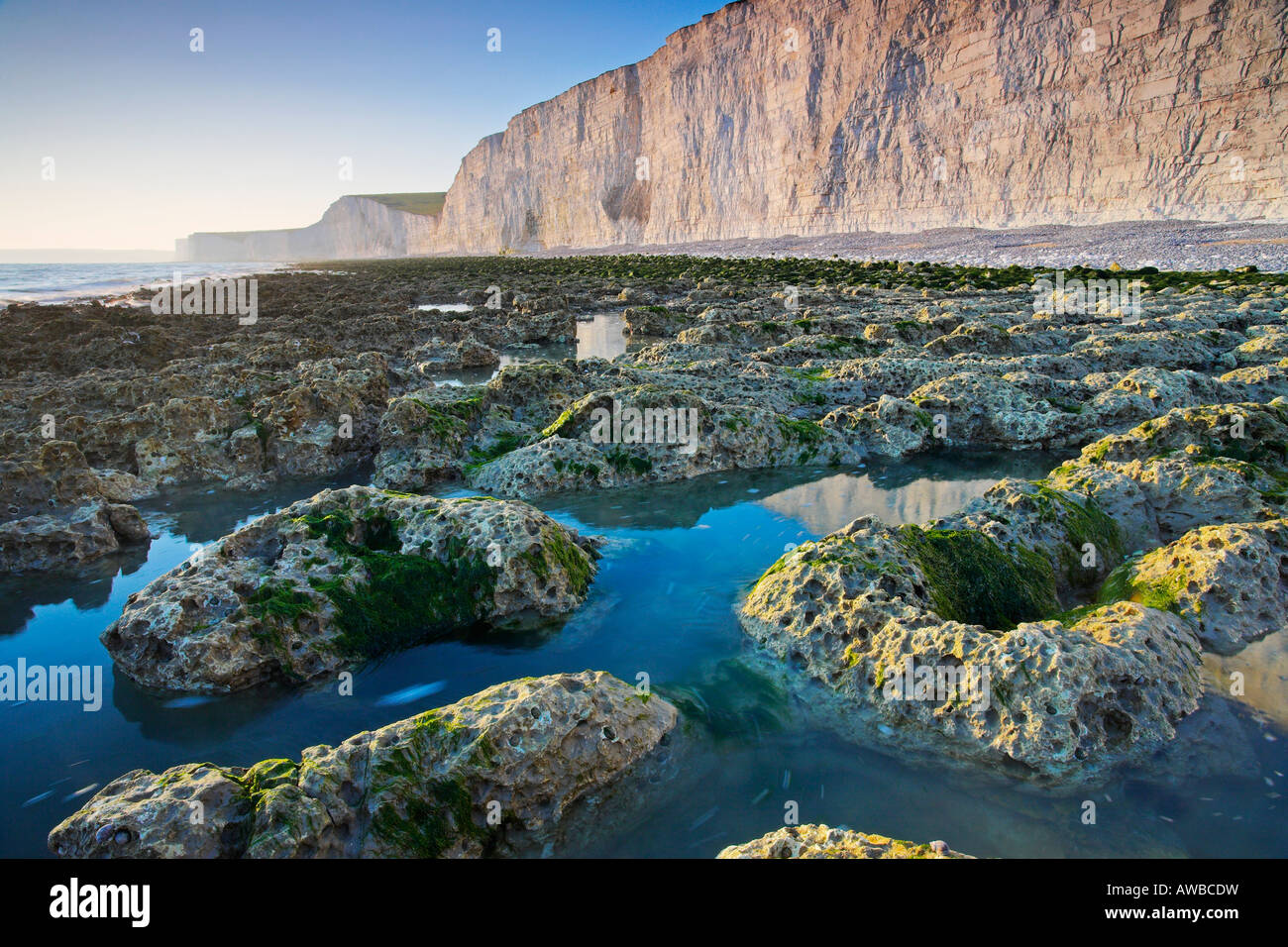 Rockpools below the white chalk cliffs of Birling Gap, West Sussex ...