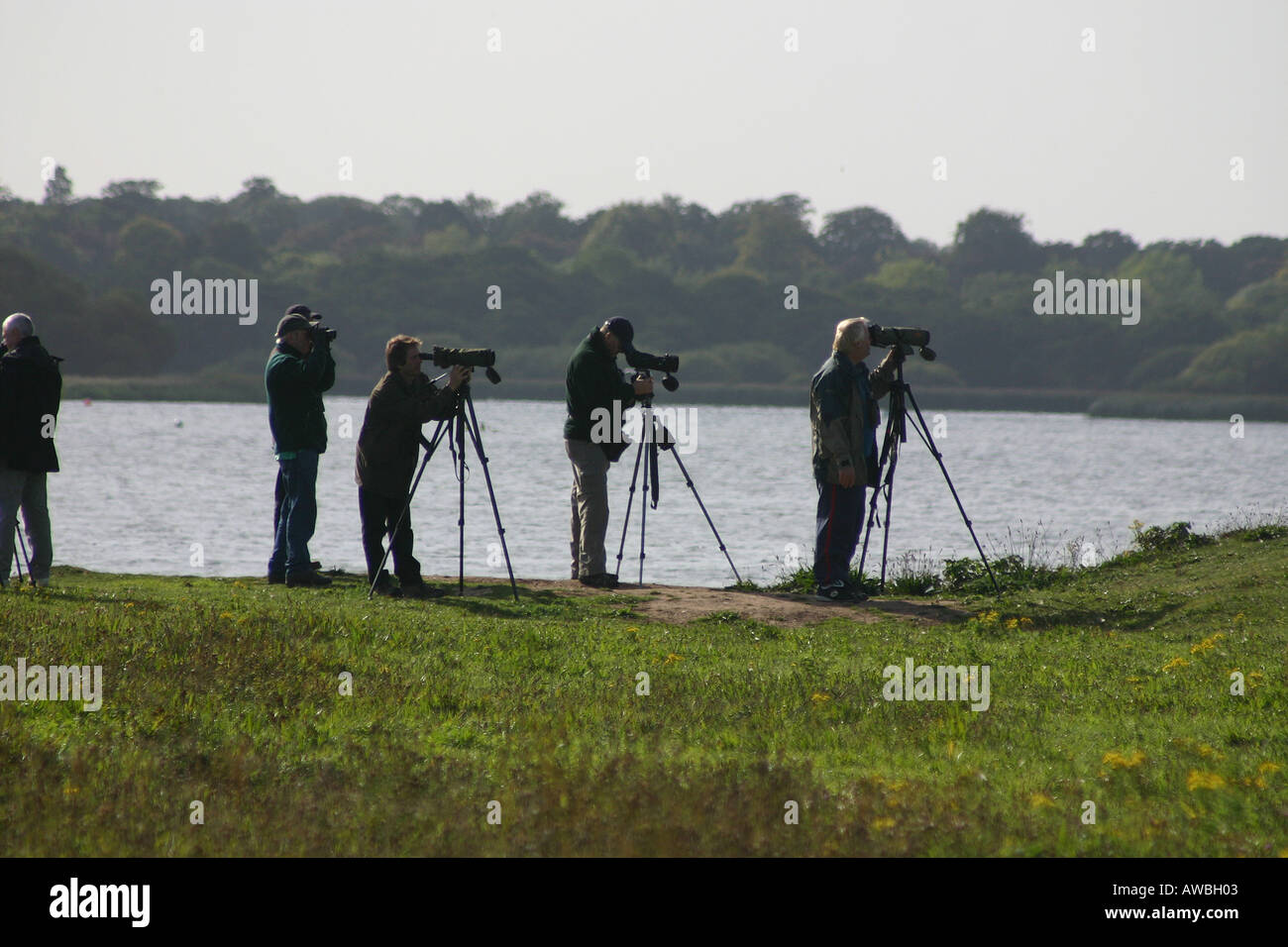 Bird watchers silhouette hi-res stock photography and images - Alamy