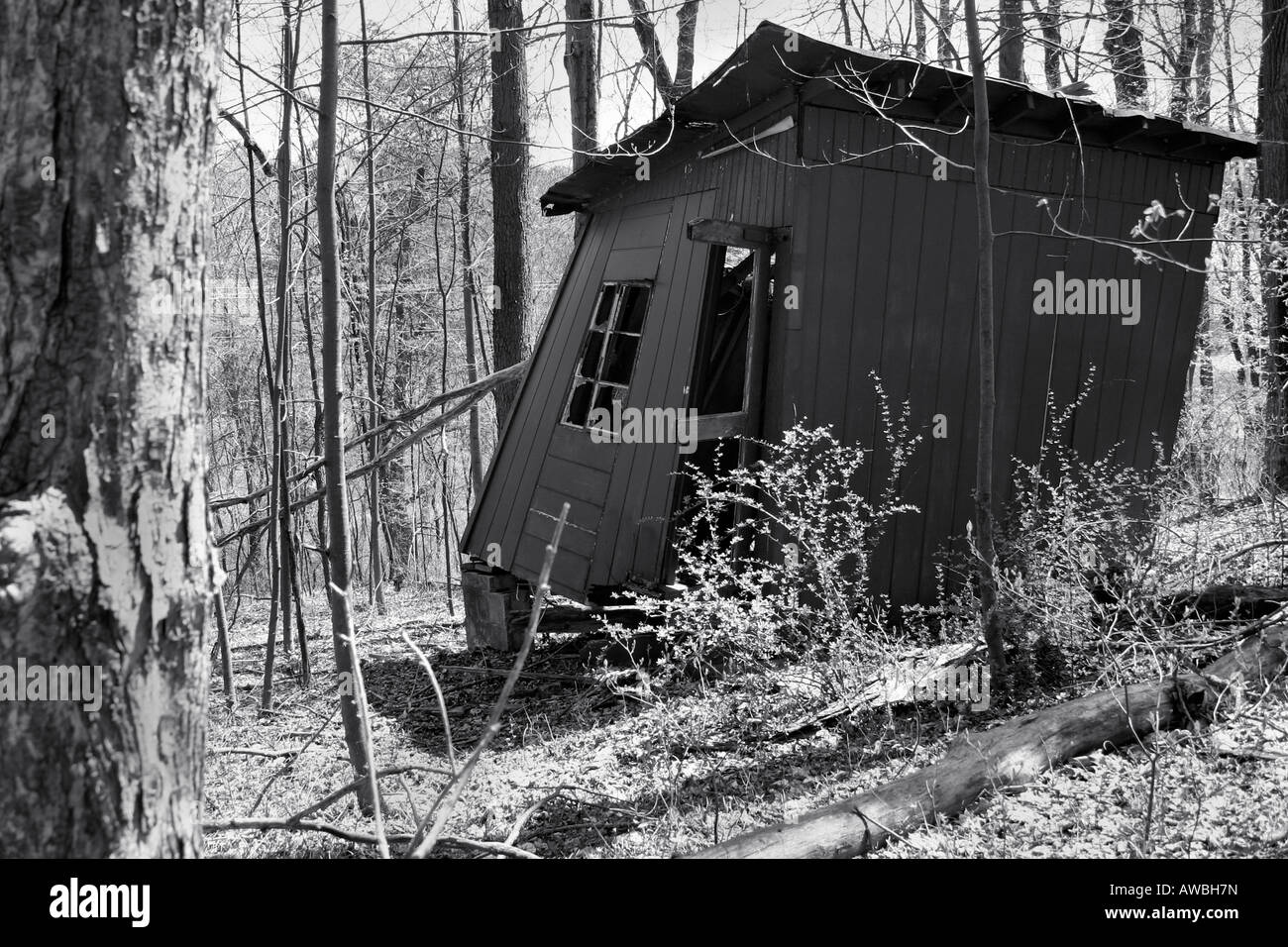 Empty old cabin in the forest in USA hi-res Stock Photo - Alamy