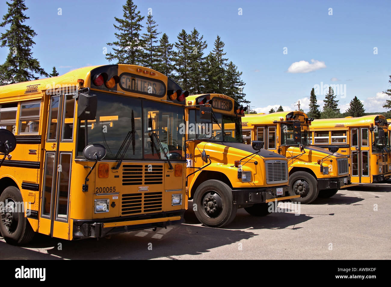School bus stop at the parking lot Stock Photo - Alamy