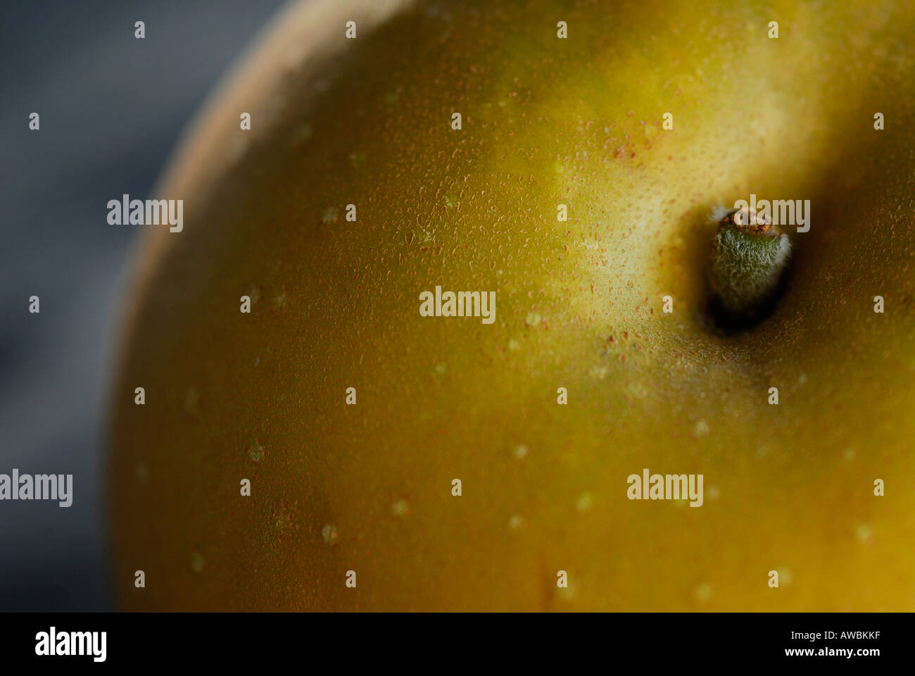 Golden russet apple variety hi-res stock photography and images - Alamy