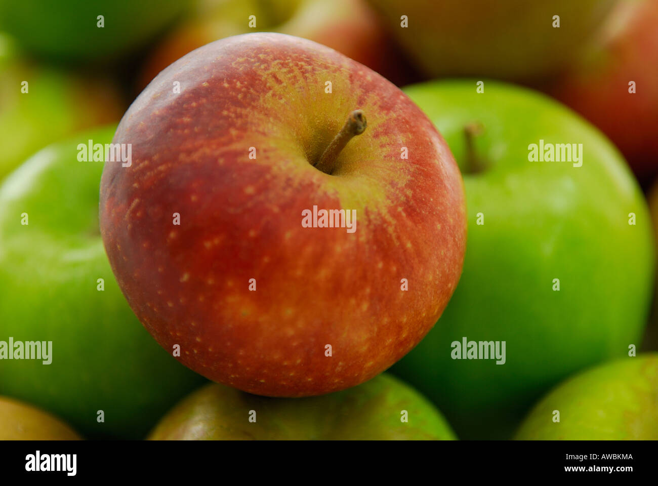 red windsor and granny smith apples Stock Photo - Alamy