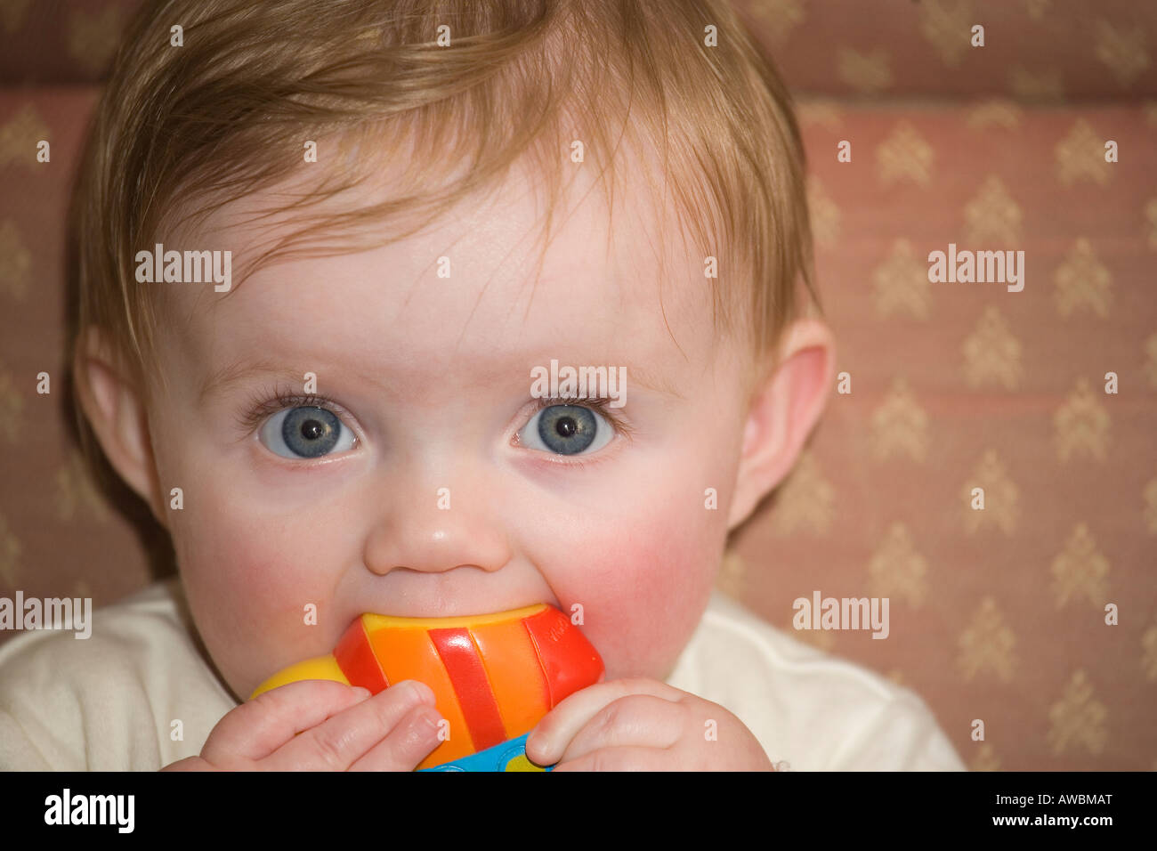 Head of baby girl chewing on toy Stock Photo - Alamy