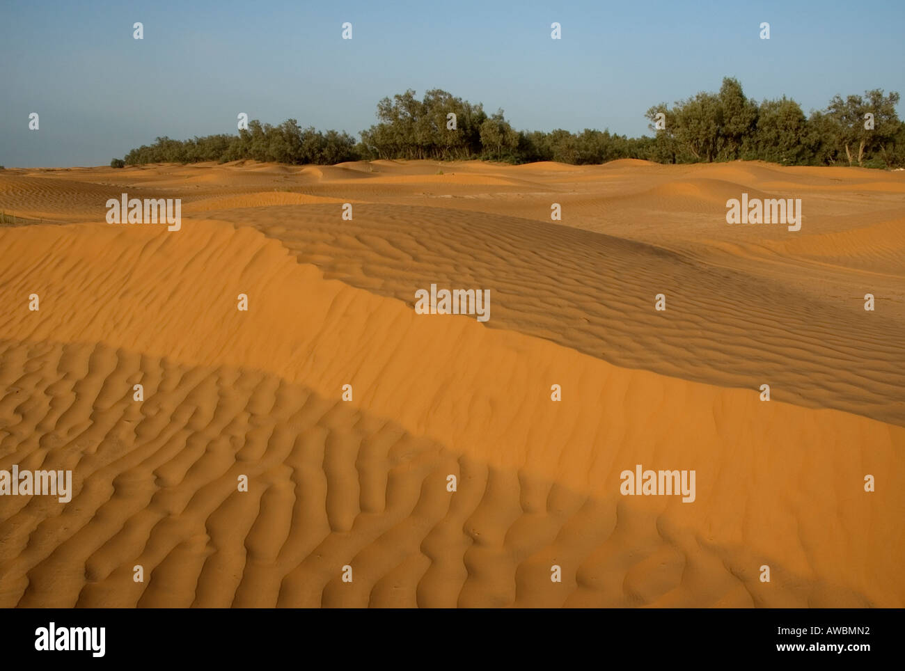 Ksar ghilane hi-res stock photography and images - Alamy