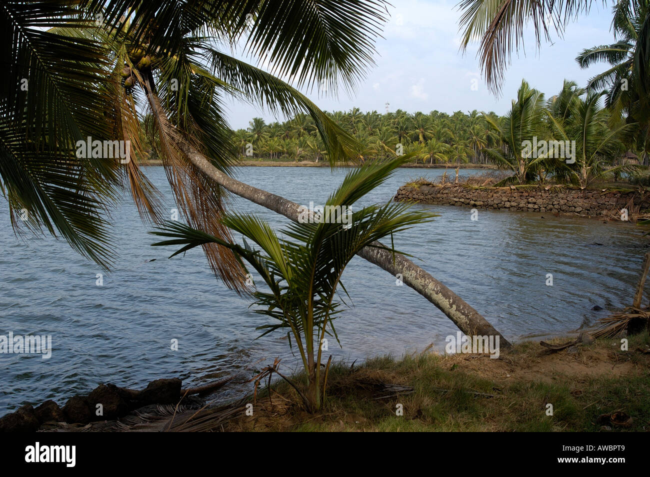 BACKWATERS OF KASARAGOD DISTRICT Stock Photo - Alamy