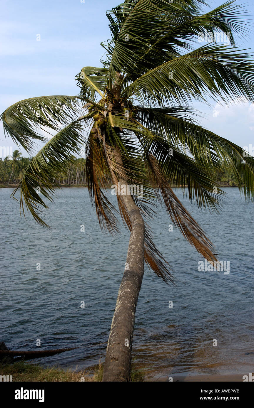 Backwaters kasaragod district hi-res stock photography and images - Alamy