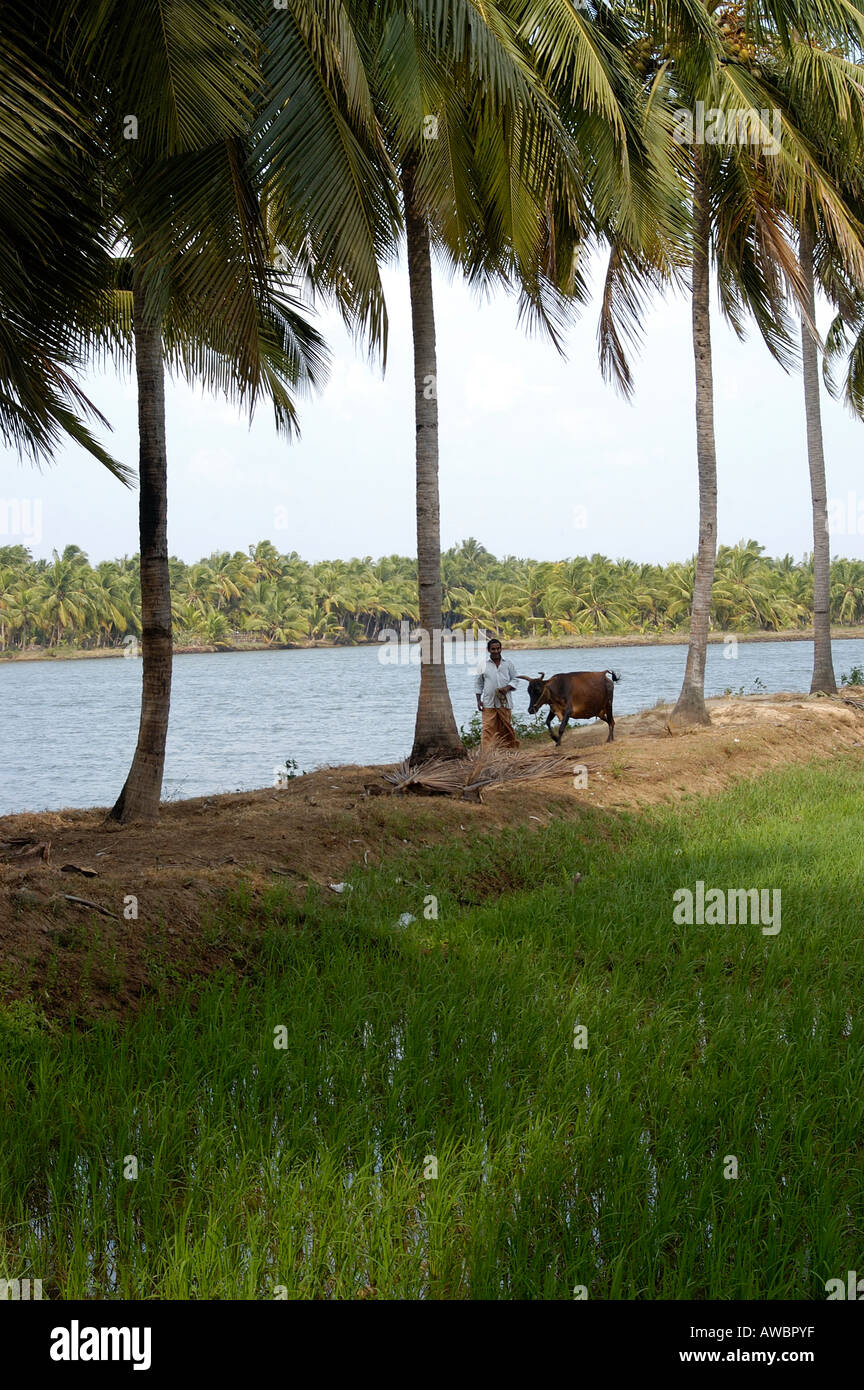 Backwaters kasaragod district hi-res stock photography and images - Alamy