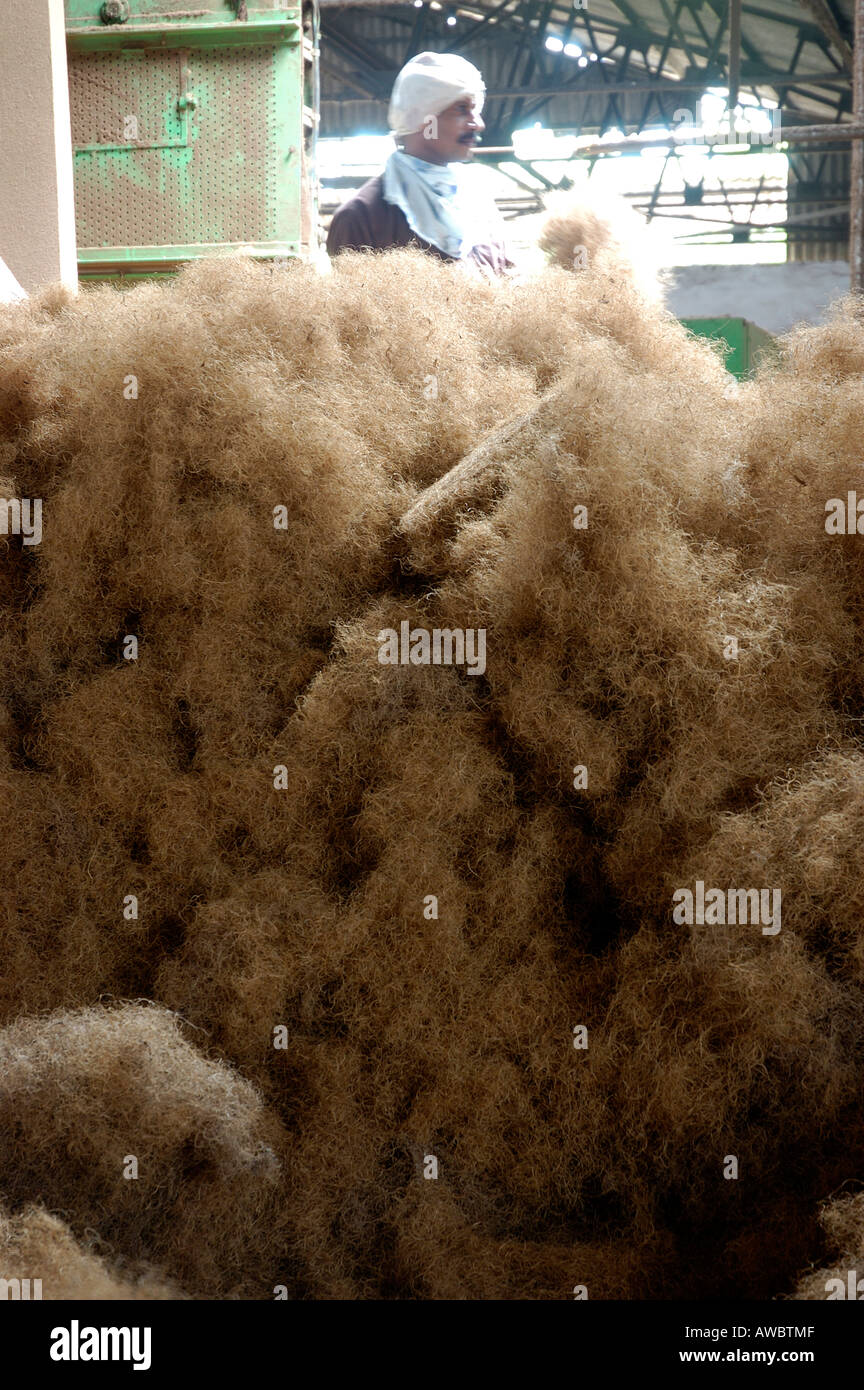 Coir business hi-res stock photography and images - Alamy