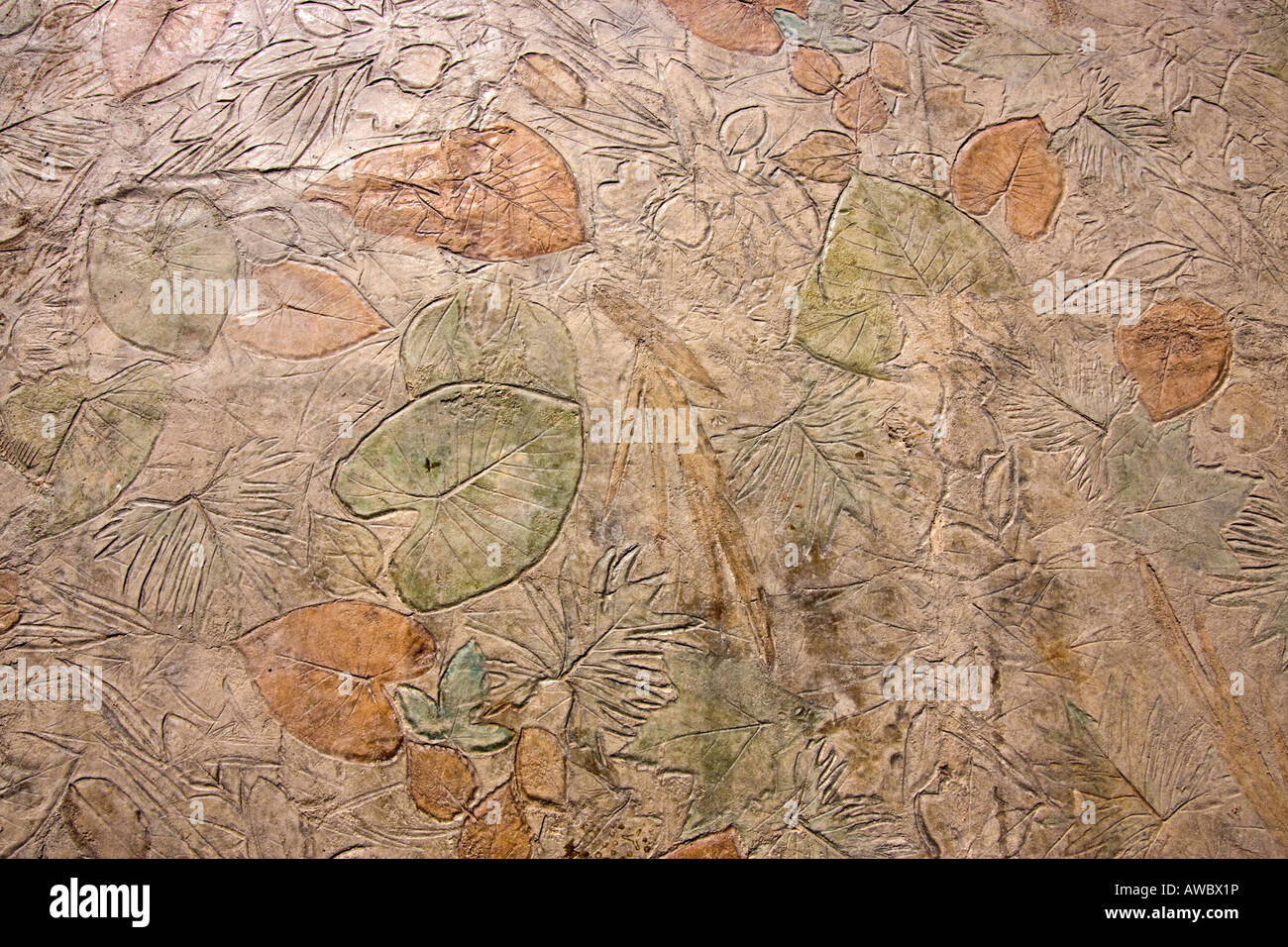 Exterior fresco wall paintings pictures images photos large high ...