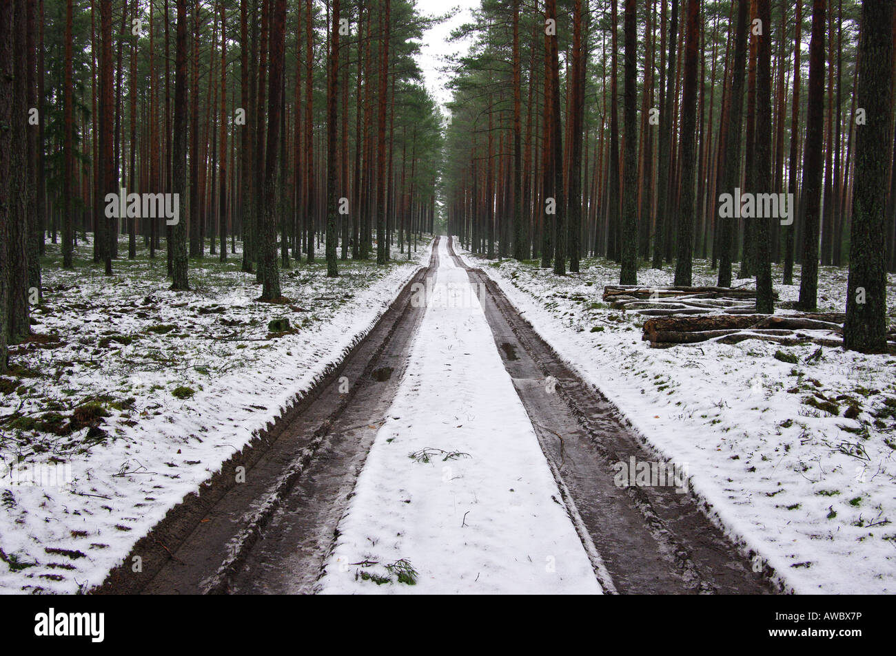 Beam needs hi-res stock photography and images - Alamy