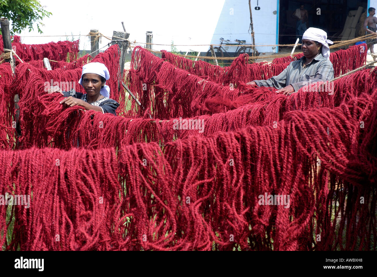 COIR YARN PROCESSING IN FACTORY ALAPUZHA DISTRICT Stock Photo - Alamy