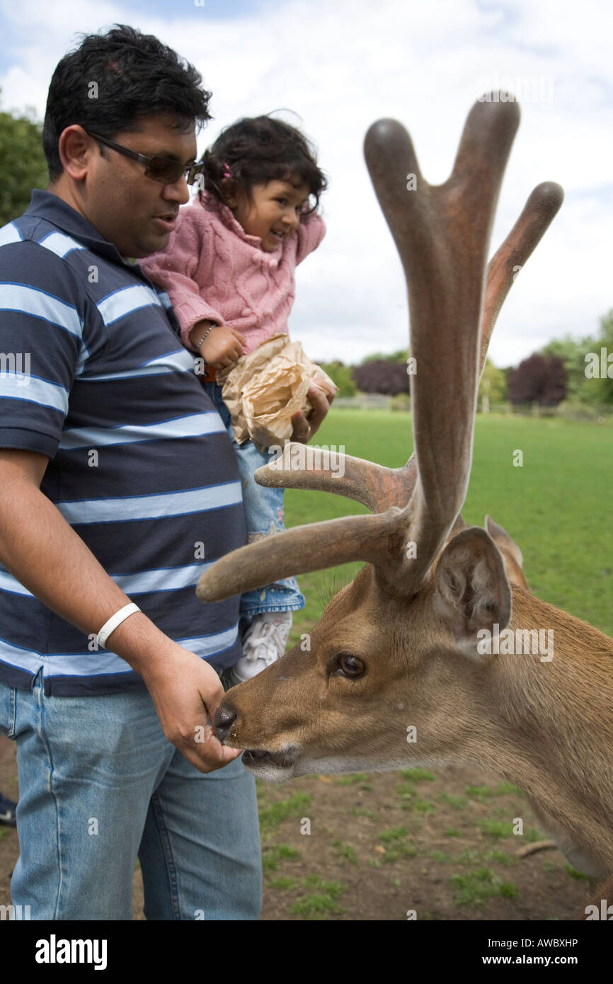 Mole Hall wildlife park and butterfly pavillion, Widdington, Saffron ...