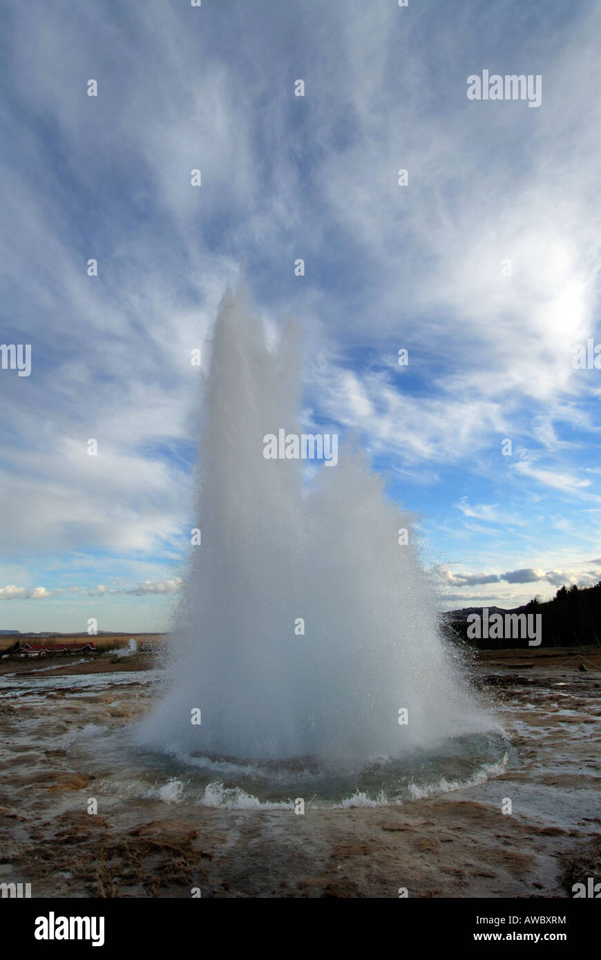Strokkur geyser ready to spout hot water Iceland Stock Photo - Alamy