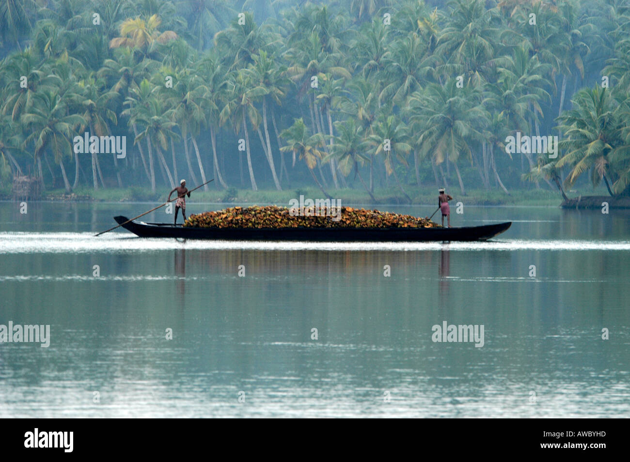 COCONUT SHELLS TRANSPORTED THROUGH BACKWATERS VARKALA Stock Photo - Alamy