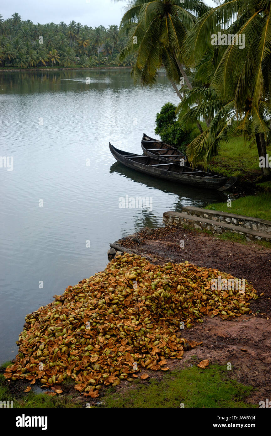 COCONUT SHELLS TRANSPORTED THROUGH BACKWATERS VARKALA Stock Photo - Alamy
