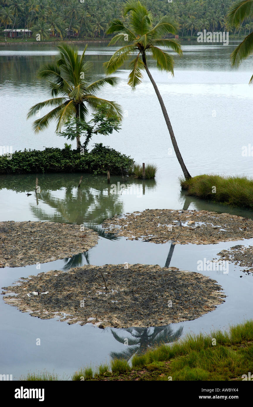 COCONUT SHELLS DUMPED IN SALINE WATER TO EXTRACT FIBRE VARKALA Stock ...