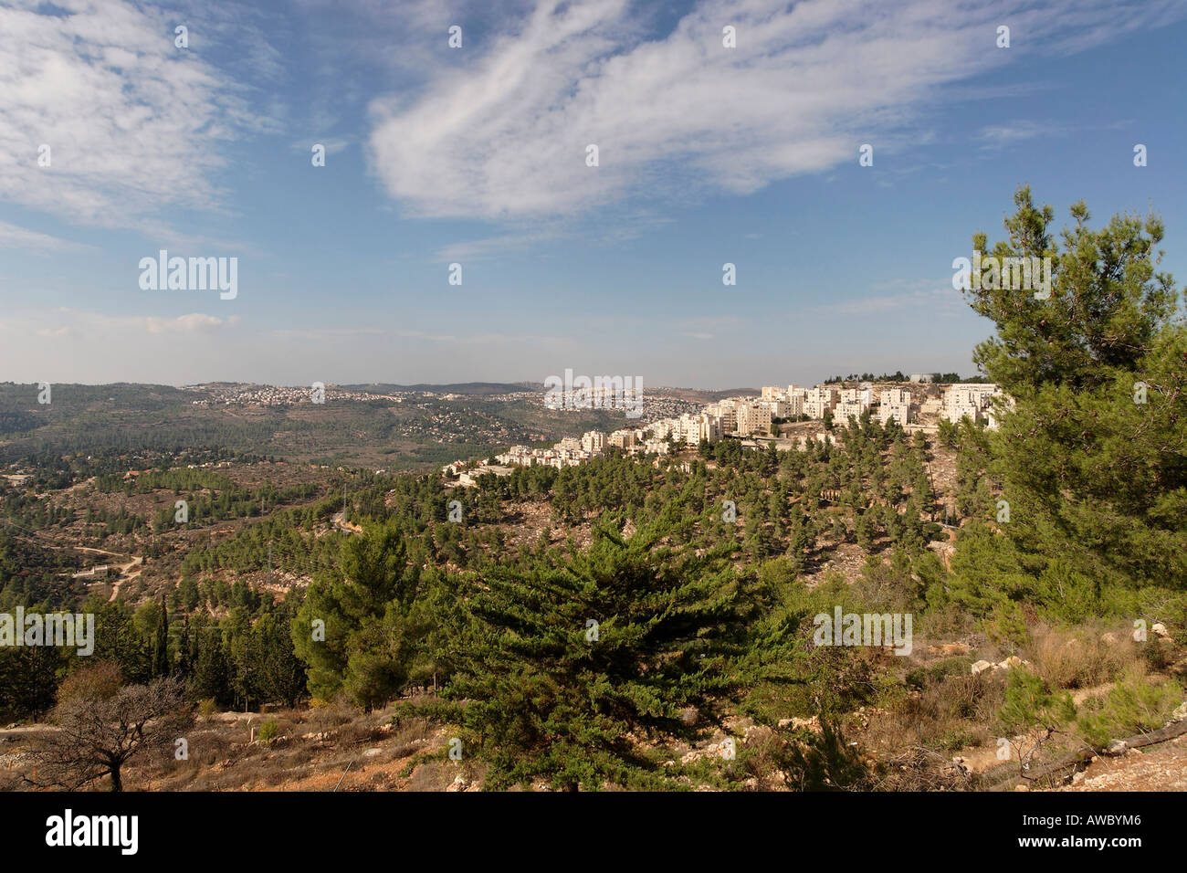 Jerusalem Israel Jerusalem forest and Har Nof neighborhood as seen from ...