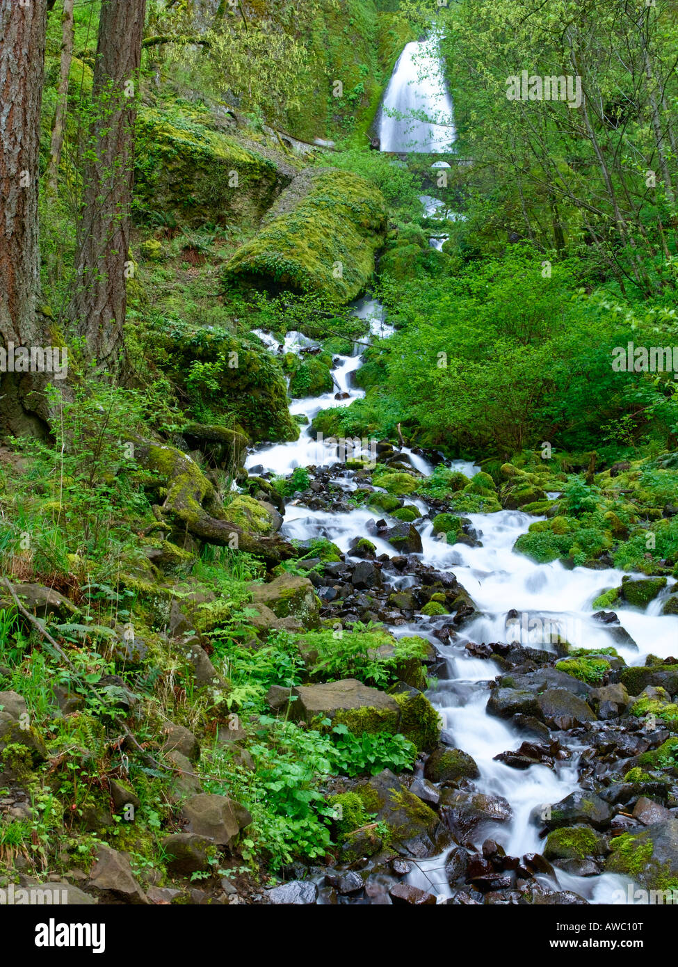 Columbia River Gorge Waterfall Stock Photo - Alamy