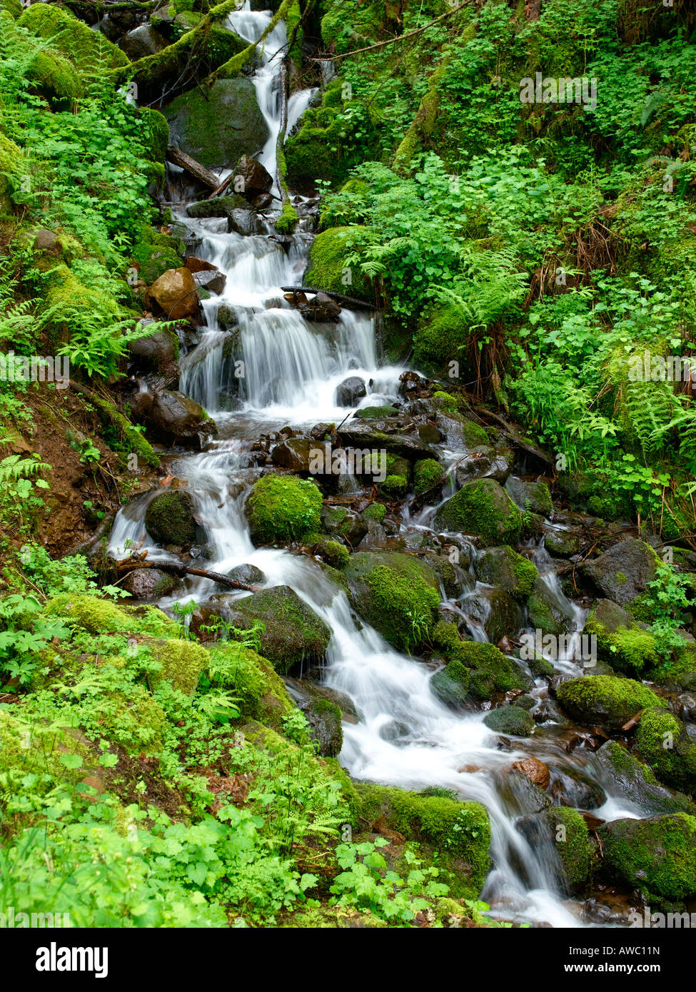 Columbia River Gorge Waterfall Stock Photo - Alamy