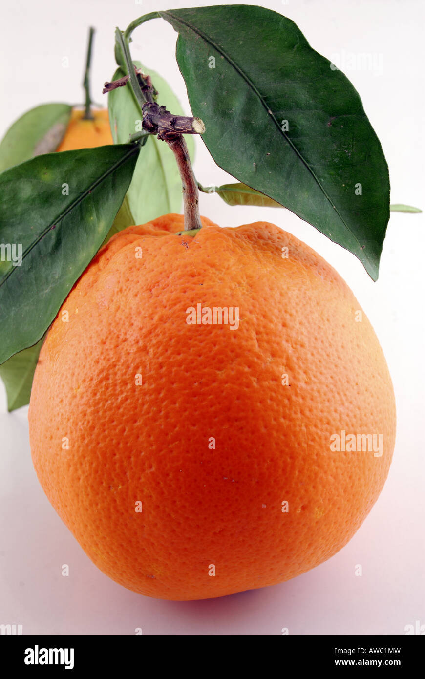 Summer fruit lebanon hi-res stock photography and images - Alamy
