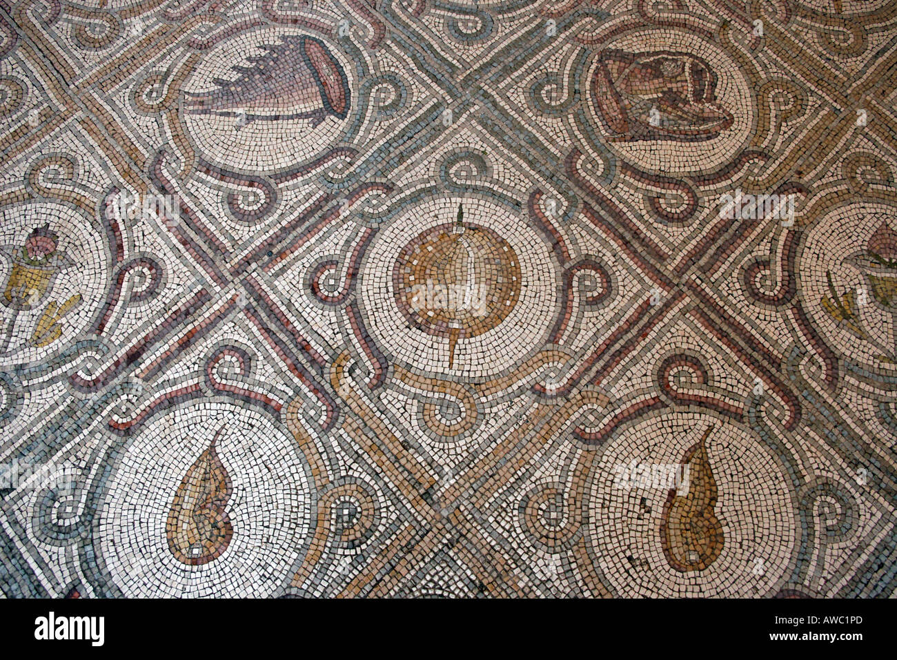 Jerusalem Israel The 5th century Byzantine mosaic at the Church of ...
