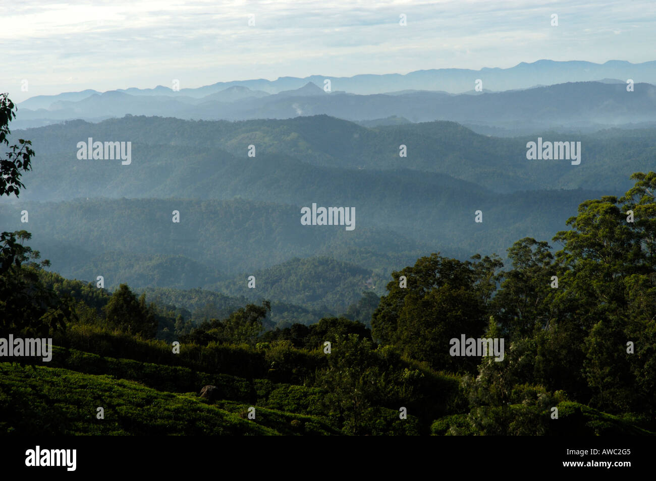 Munnar top stations hi-res stock photography and images - Alamy