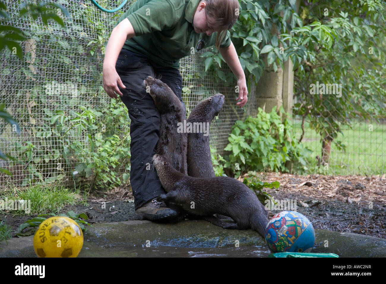 Mole Hall wildlife park and butterfly pavillion, Widdington, Saffron ...