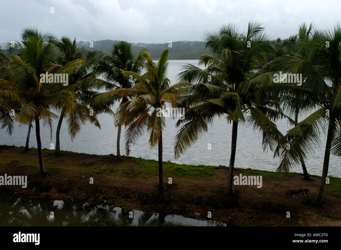 BACKWATERS NEAR VARKALA Stock Photo - Alamy