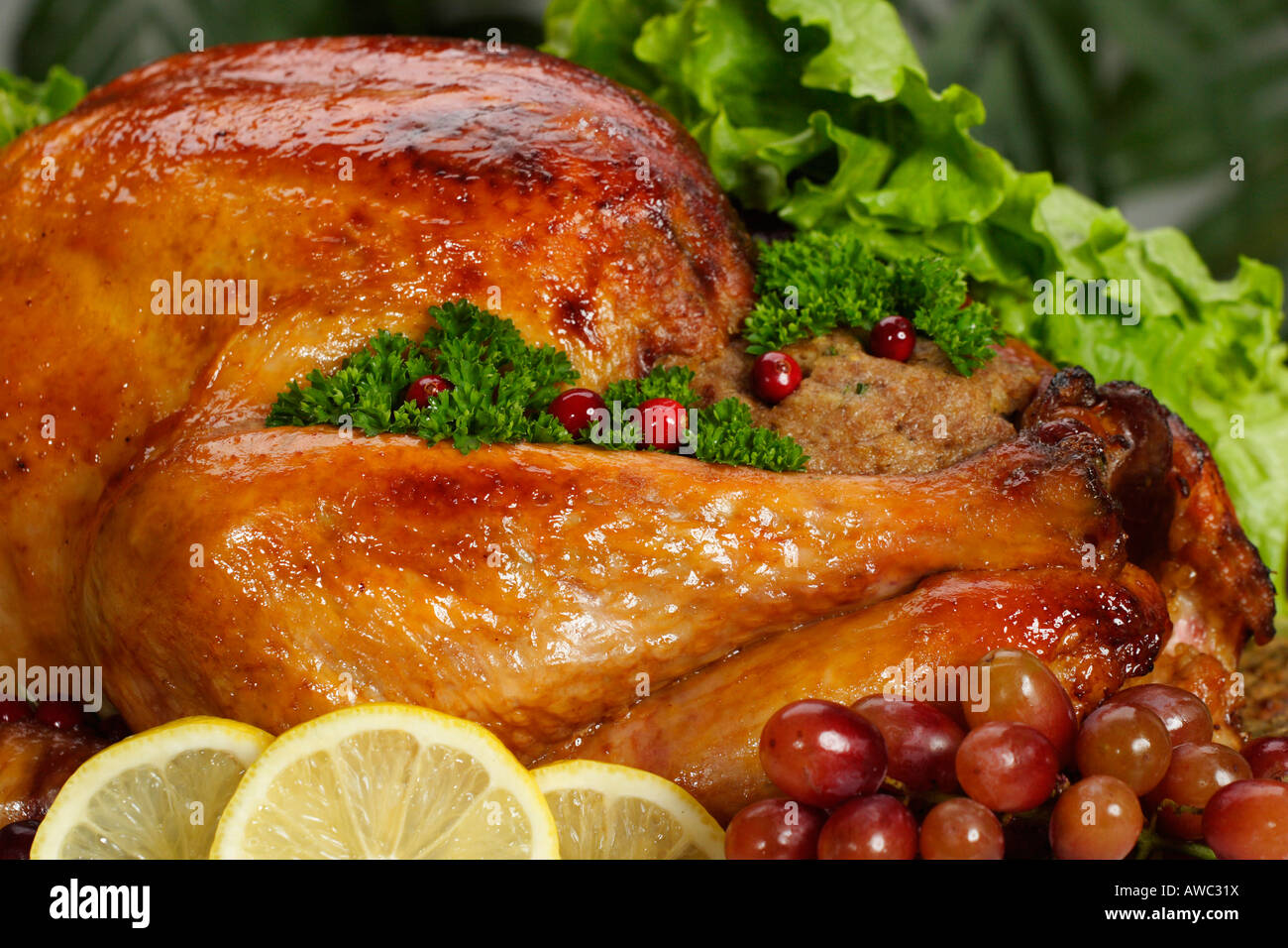 Poultry hi res hi-res stock photography and images - Alamy