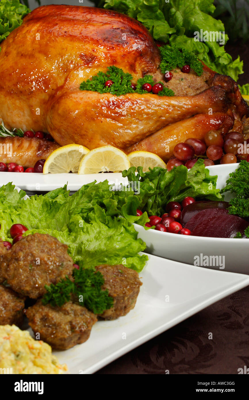 Whole turkey platter garnish holiday hi-res stock photography and ...