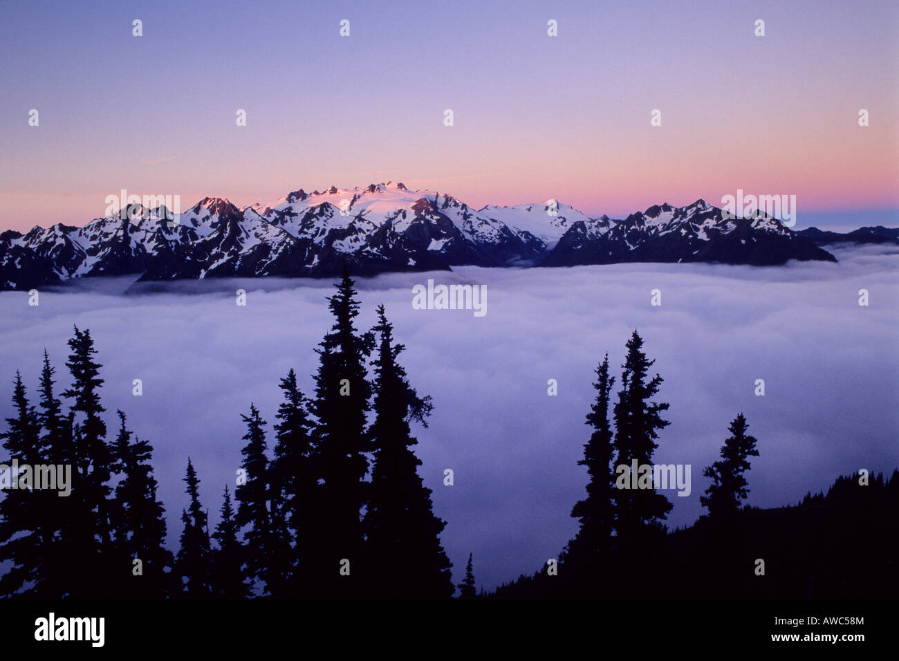 Sunrise over Mount Olympus and Hoh River Valley, Olympic National Park ...