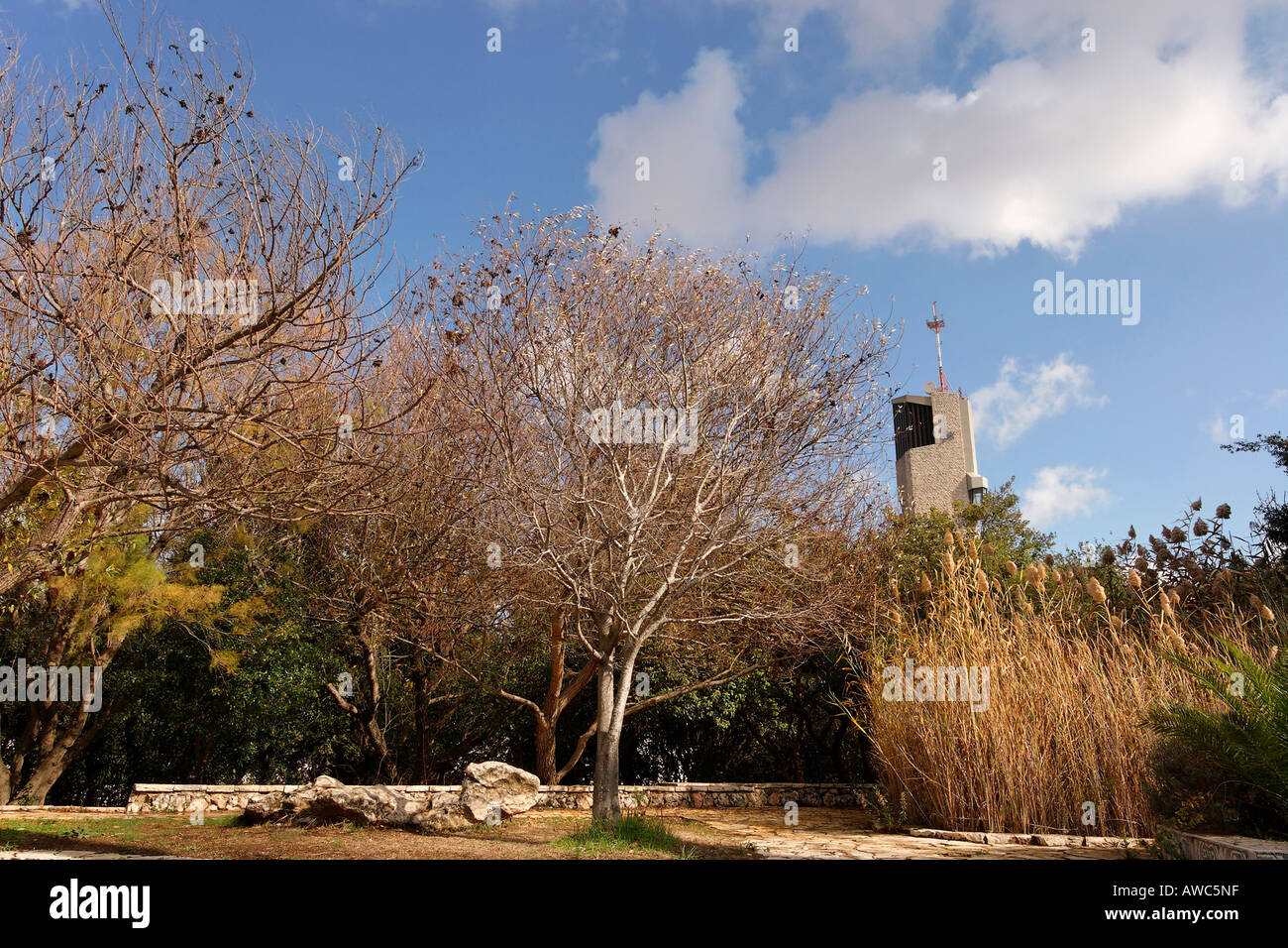 Israel Jerusalem The Hebrew University campus on Mount Scopus the ...