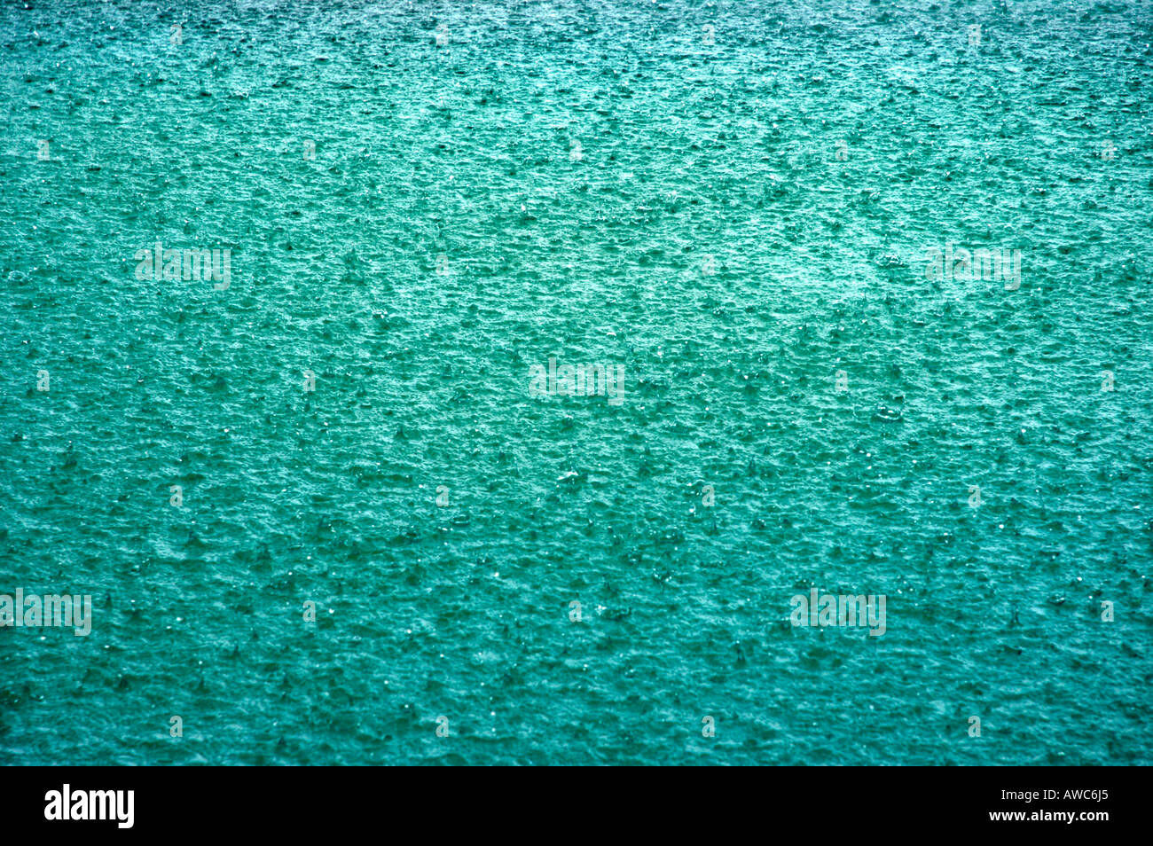 RAINDROPS FALLING ON SWIMMING POOL Stock Photo - Alamy