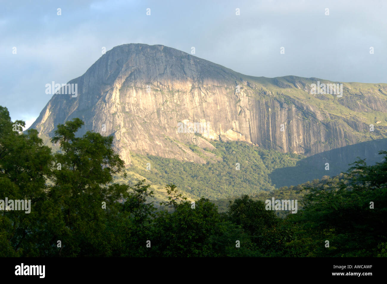 Eastern And Western Ghats
