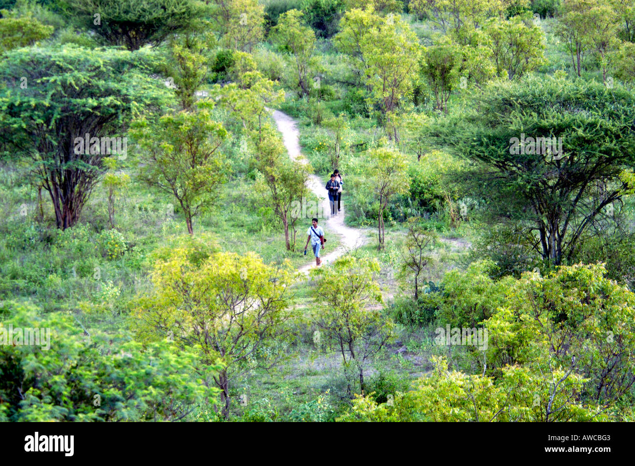 Chinnar wildlife sanctuary hi-res stock photography and images - Alamy