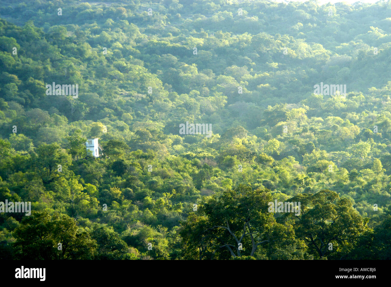 Jungle watch tower hi-res stock photography and images - Alamy