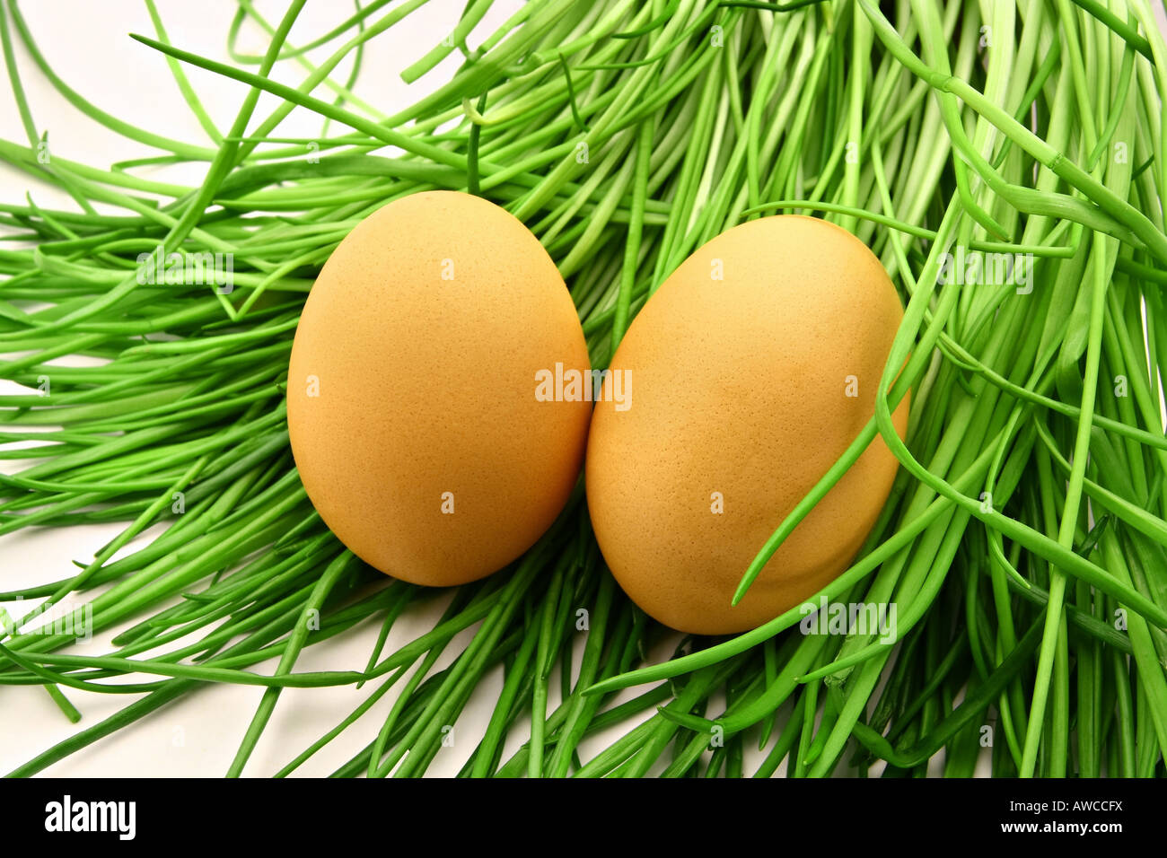 Two easter eggs in grass Stock Photo - Alamy