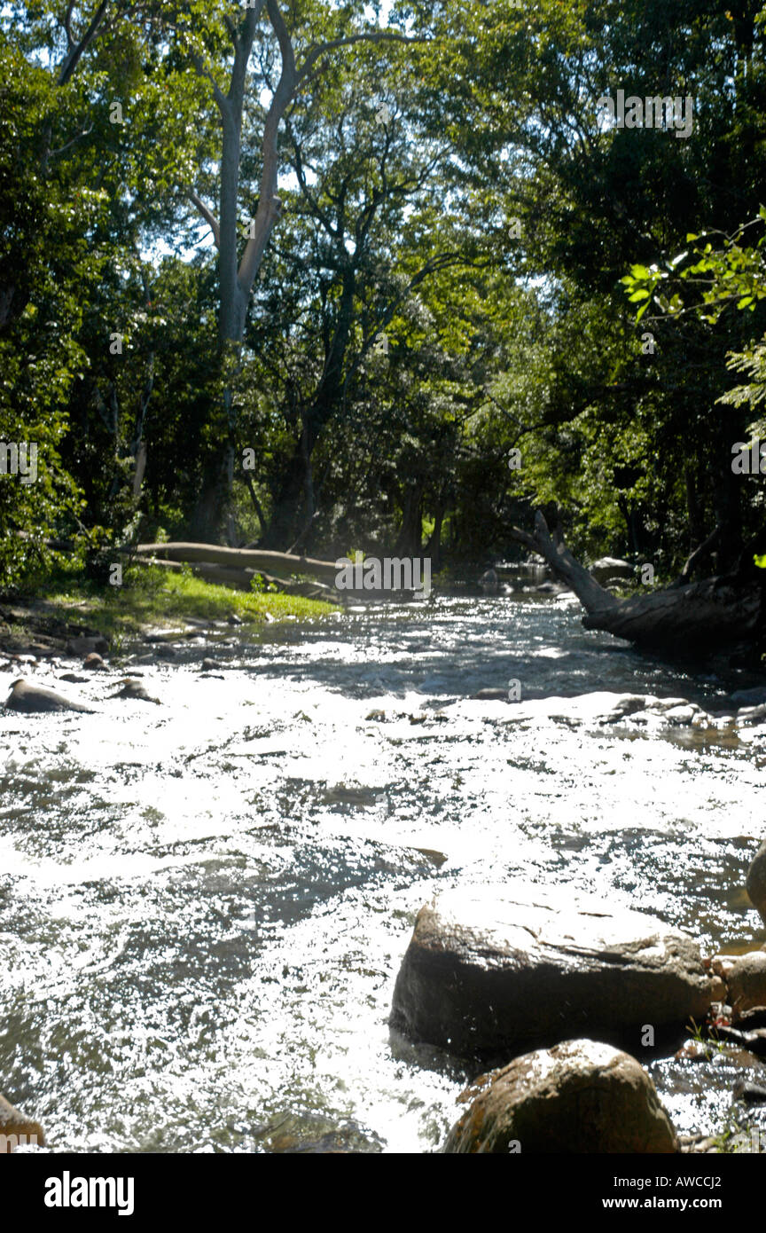 CHINNAR RIVER INSIDE CHINNAR WILDLIFE SANCTUARY FLOWING TOWARDS TAMIL ...