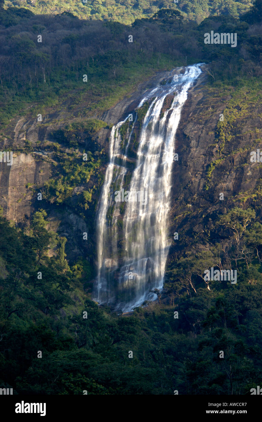 Pollachi High Resolution Stock Photography and Images - Alamy