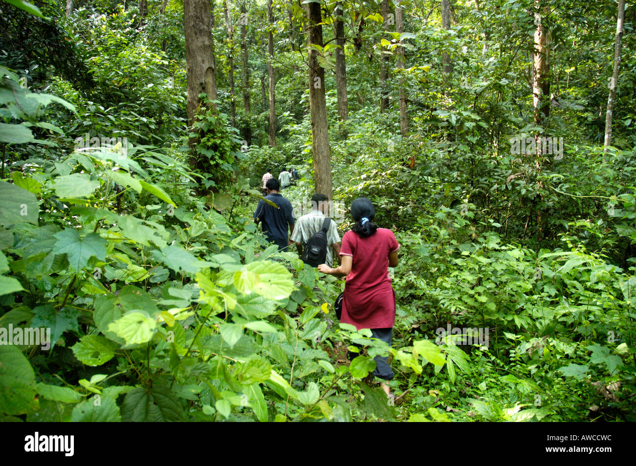 TREK THROUGH THE THATTEKKAD BIRD SANCTUARY Stock Photo - Alamy